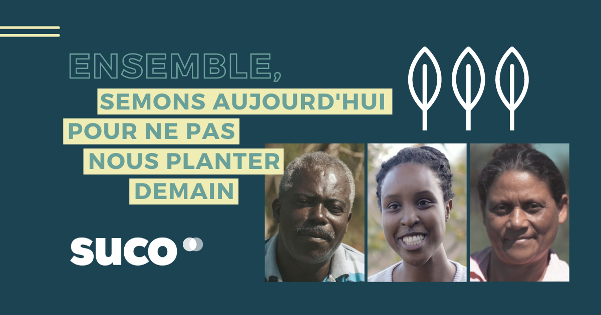 60 ans de SUCO, 60 ans de présence sur le terrain | SUCO