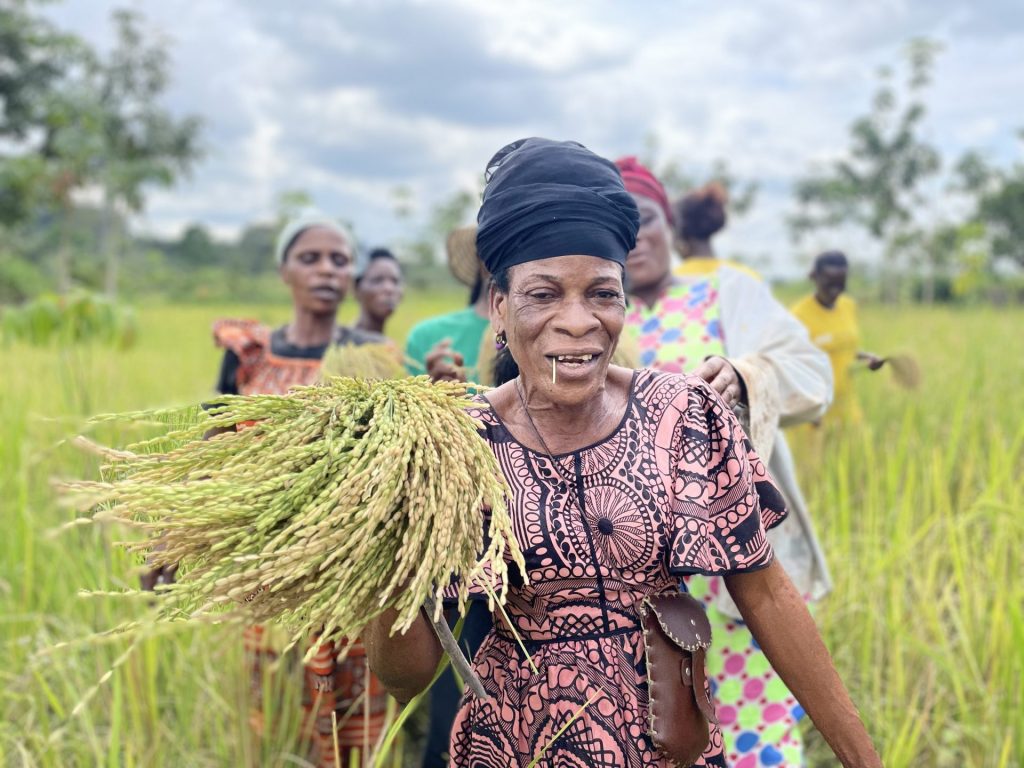 Les femmes ivoiriennes en plein essor dans le secteur entrepreneurial ...